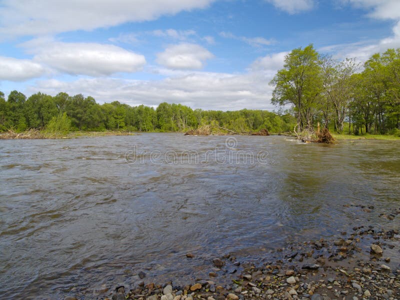 In the Spring on River Bank Stock Image - Image of wood, blue: 26014625
