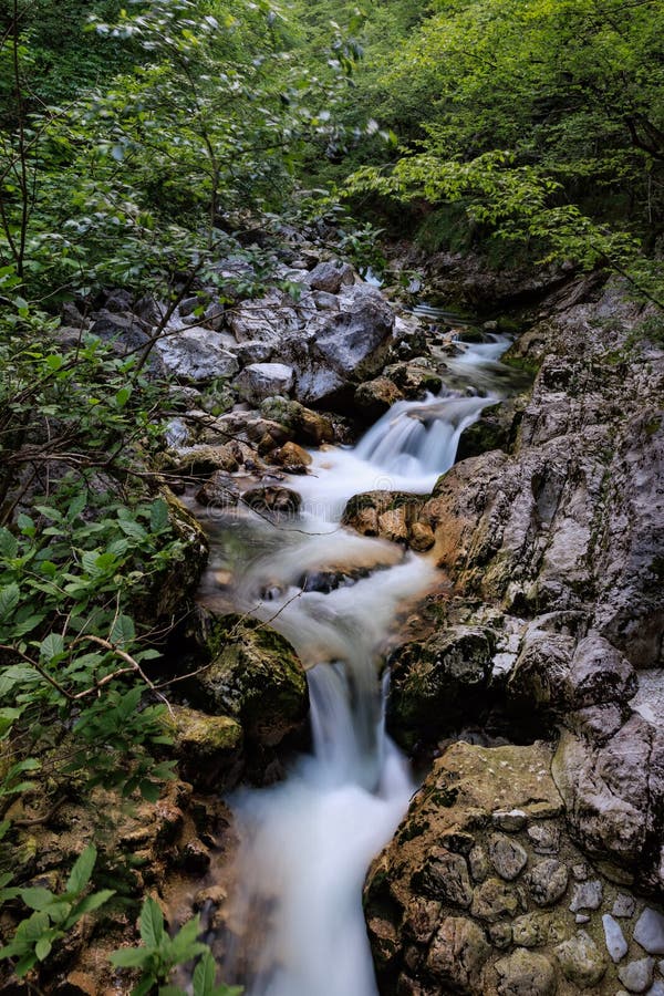 Spring River in Canyon. Nature Composition Stock Image - Image of stone ...