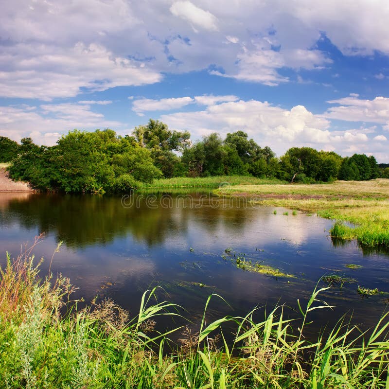 Spring on the river stock image. Image of beauty, river - 63747473
