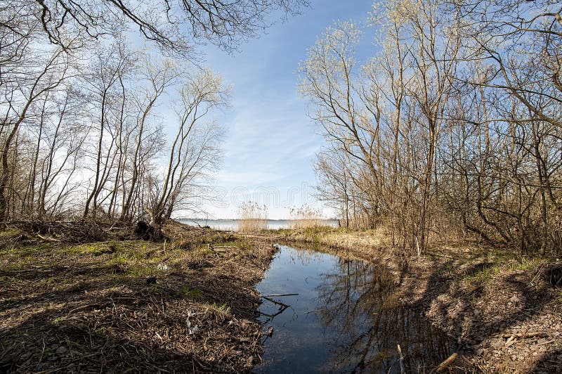 Spring river stock image. Image of small, river, blue - 100618453