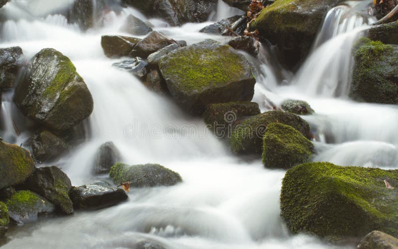 Water flowing stock image. Image of park, leaves, ripples - 2233073