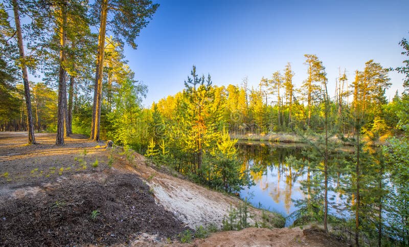 Spring River Forest Landscape Stock Image - Image of branch, lush: 37054563