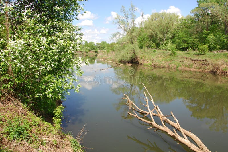 Spring river stock photo. Image of lake, grass, pond - 122721856