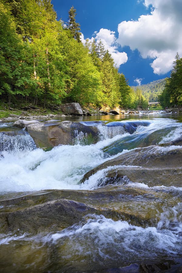 Spring river landscape stock image. Image of stone, plant - 92315037