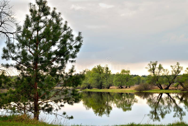 Spring River Landscape Green Trees Reflecting in the Water Sky in the ...