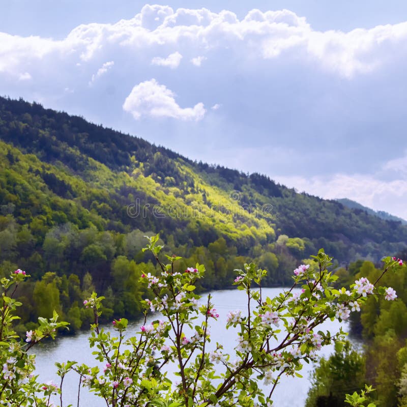 Spring River in Montains stock photo. Image of water - 150465986