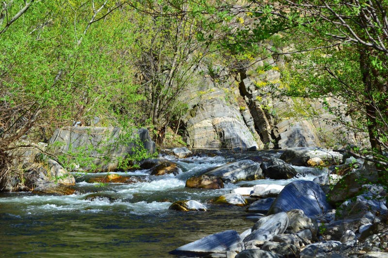 Spring river nature stock image. Image of smooth, nature - 59051141