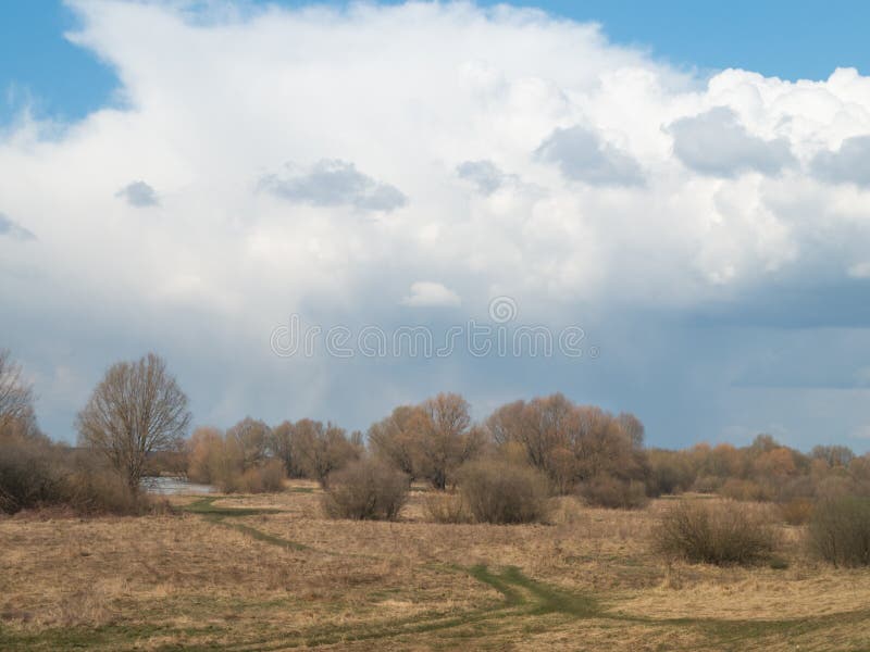 Spring river landscape stock image. Image of landscape - 225021587