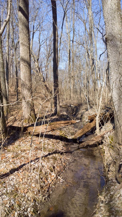 Spring River stock image. Image of rivulet, river, blue - 243484711