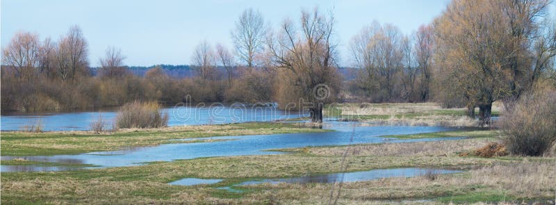 Spring river landscape stock image. Image of landscape - 134717521