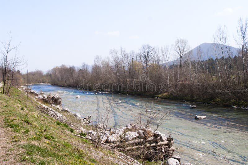 Spring River, Trees without Leaves Stock Photo - Image of macro, snow ...