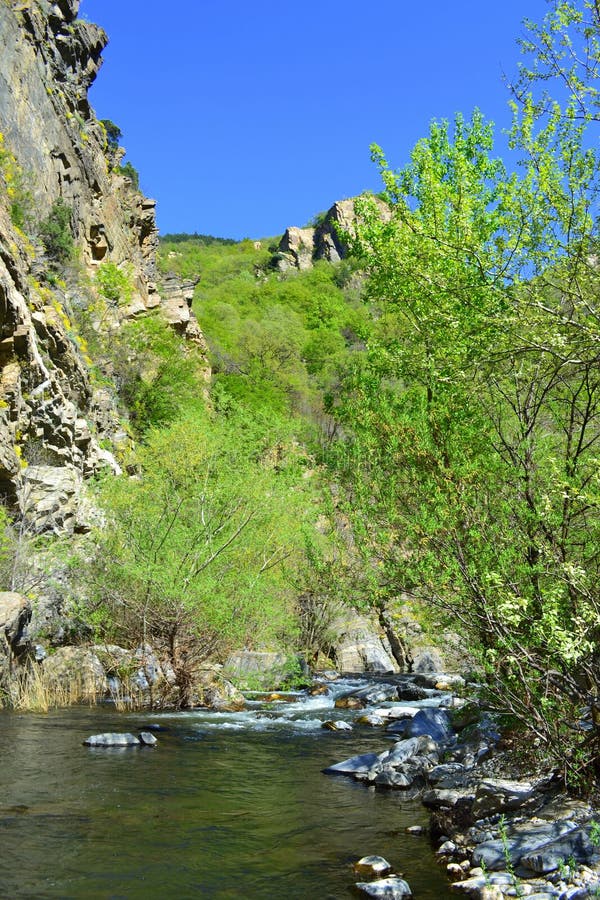 Spring river stock photo. Image of flowing, mountain - 59049082