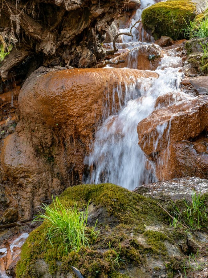 Spring River Waterfall, Stones, Green Moss and Spring Trees, David`s ...