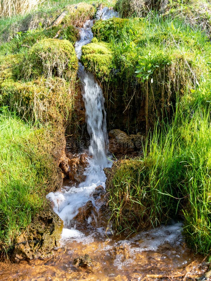 Spring River Waterfall, Stones, Green Moss and Spring Trees, David`s ...