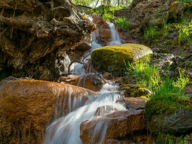 Spring River Waterfall, Stones, Green Moss and Spring Trees, David`s ...