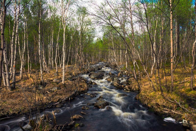 The spring river stock photo. Image of forest, water - 54908458