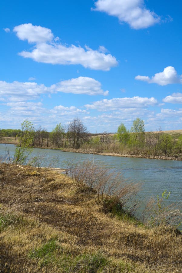 Spring. a Riverbank with Burnt Grass and a Blue Sky with White Clouds ...