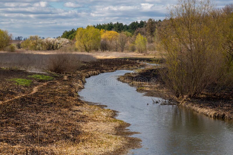 Spring Riverbank after Fires in the Forest and Steppe Stock Image ...