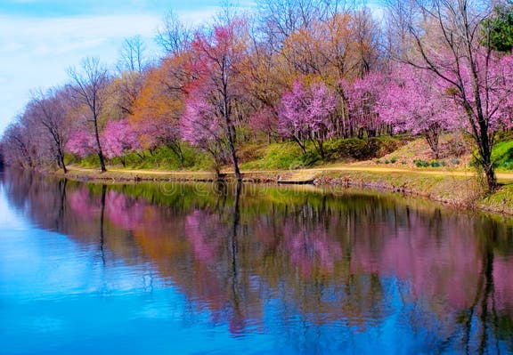 Spring Riverside stock image. Image of beautiful, america - 26018809