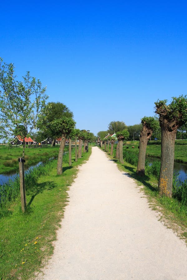 Spring road stock image. Image of flora, tree, road, clear - 11757173