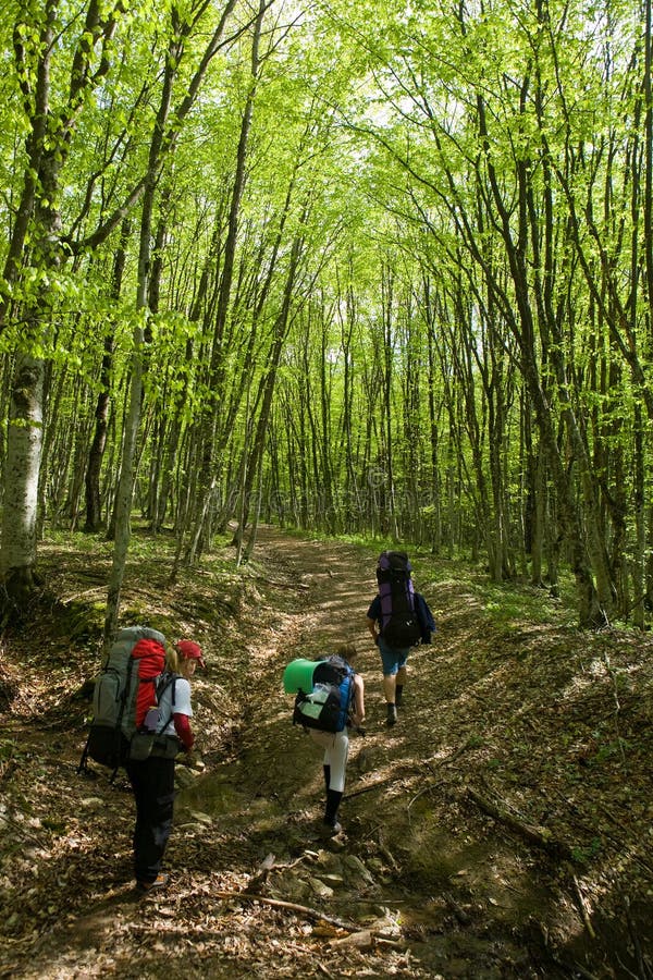 Spring road stock image. Image of lane, lifestyles, beauty - 12948717