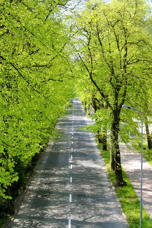 Spring road stock image. Image of forest, colour, lines - 1712393