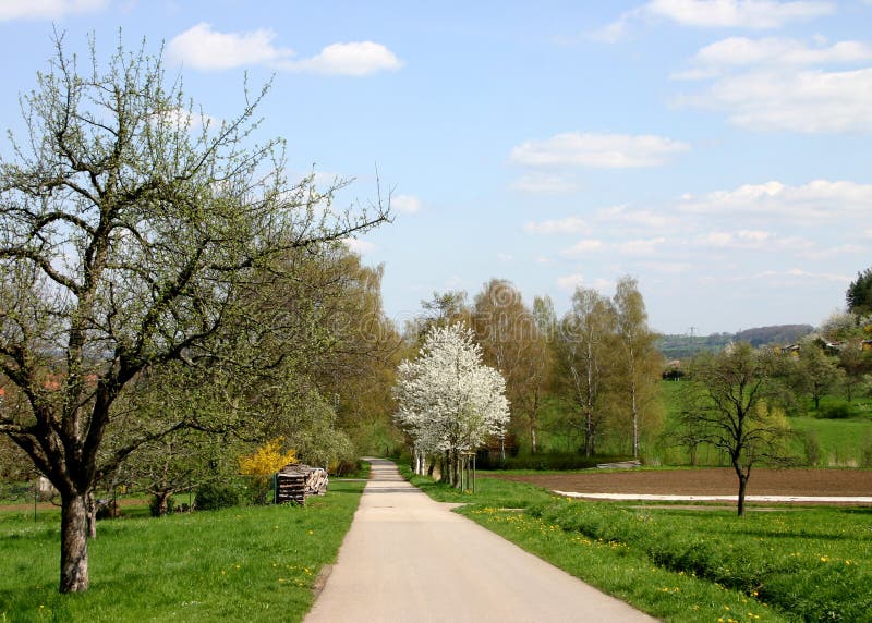 Spring road stock image. Image of germany, fields, quiet - 637469