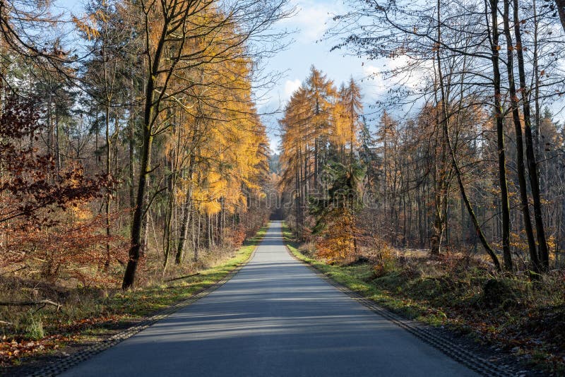 German Countryside Landscape: Series of Trees with Hills As Background ...