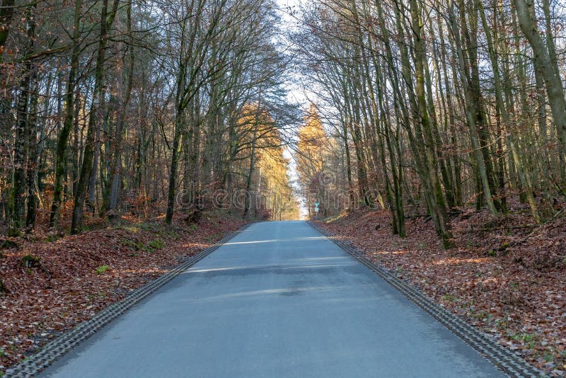 German Countryside Landscape: Series of Trees with Hills As Background ...