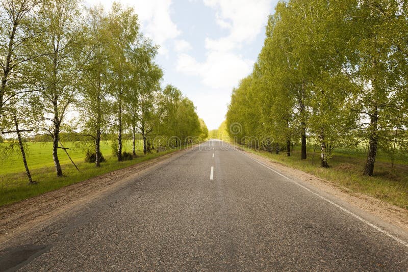 Spring road . countryside stock photo. Image of empty - 61324354
