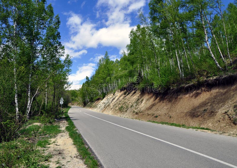 Spring road landscape stock photo. Image of birch, avenue - 70568238