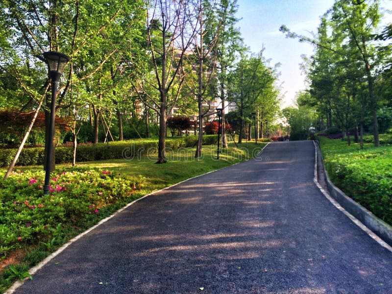 Spring road stock image. Image of trees, sunny, flower - 53290595