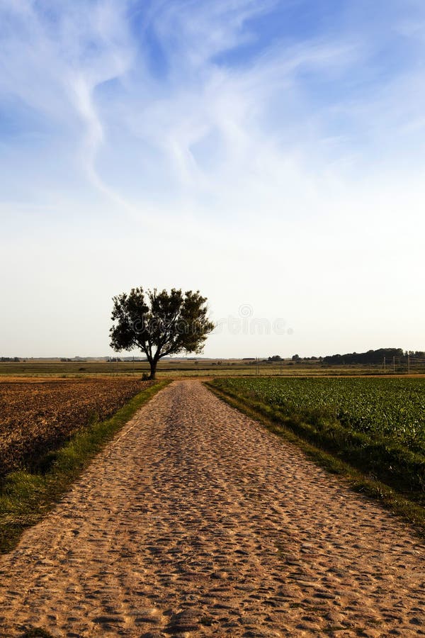 Spring road . season stock photo. Image of farm, country - 61212932