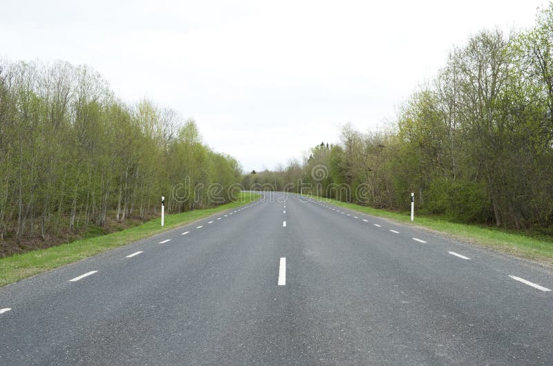 Spring Road Surrounded with Trees with Small Leaves Stock Image - Image ...