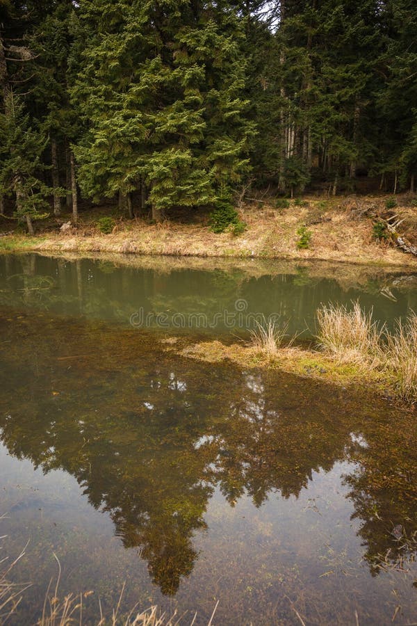 Spring Roads after Heavy Rain at Elati, Greece Stock Photo - Image of ...