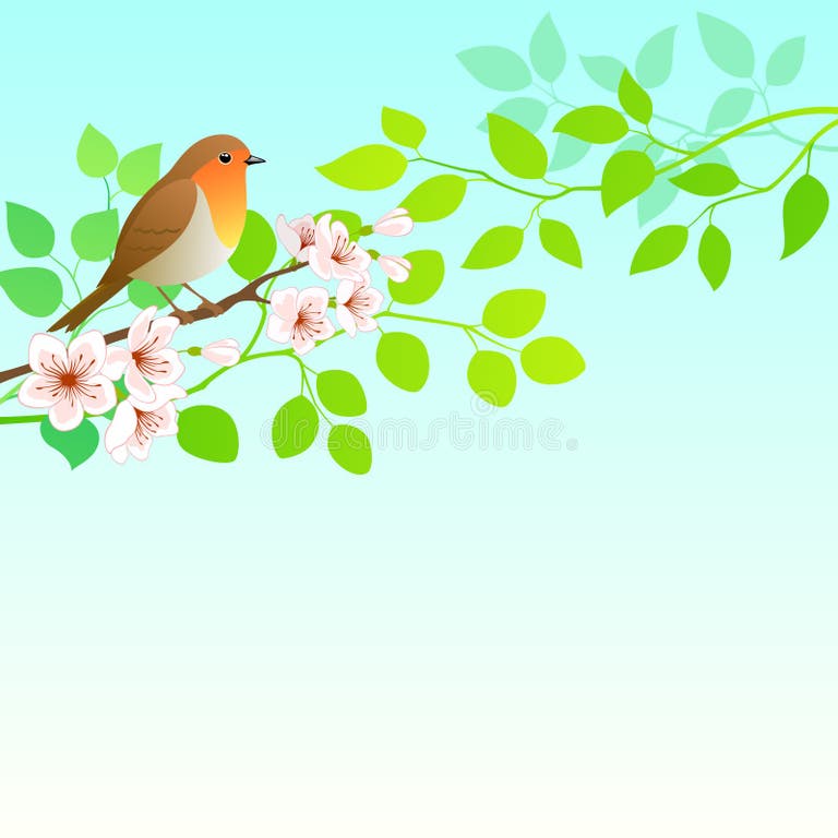 Robin Spring Stock Illustrations – 6,269 Robin Spring Stock ...