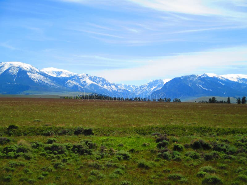 High Mountain Plains stock photo. Image of bear, montana - 102860124