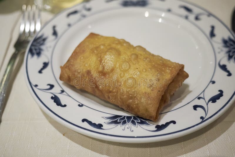 Spring roll close up stock image. Image of dinner, meal - 108064863