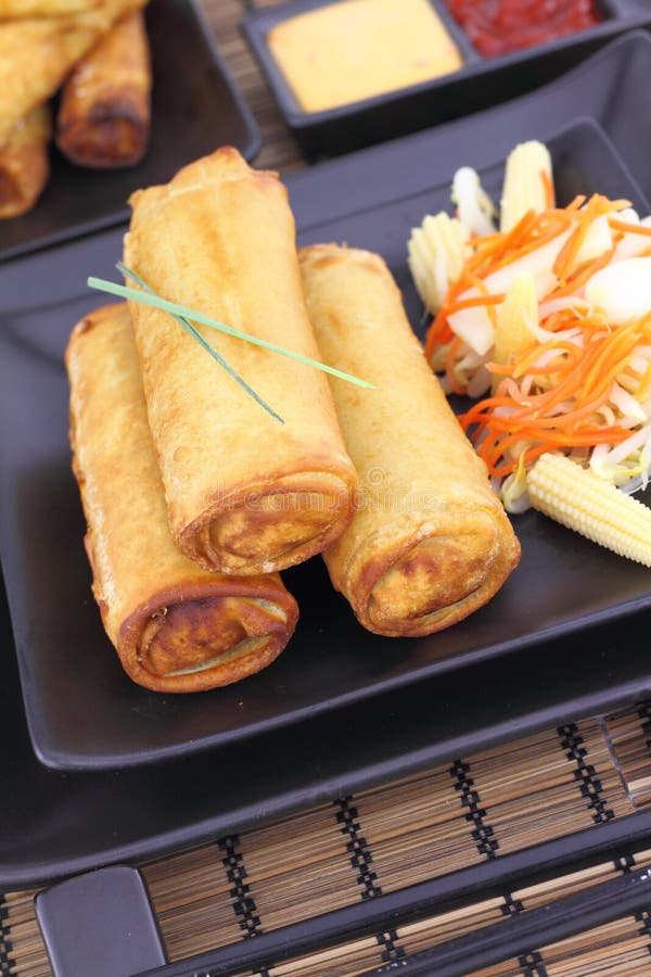 Spring rolls stock image. Image of tofu, crispy, appetizer - 21314969