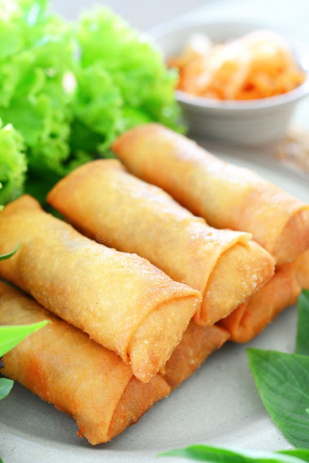 Fried spring rolls on dish stock image. Image of spicy - 19745137