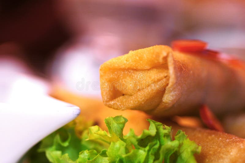 Spring rolls stock photo. Image of healthy, macro, rolls - 509694