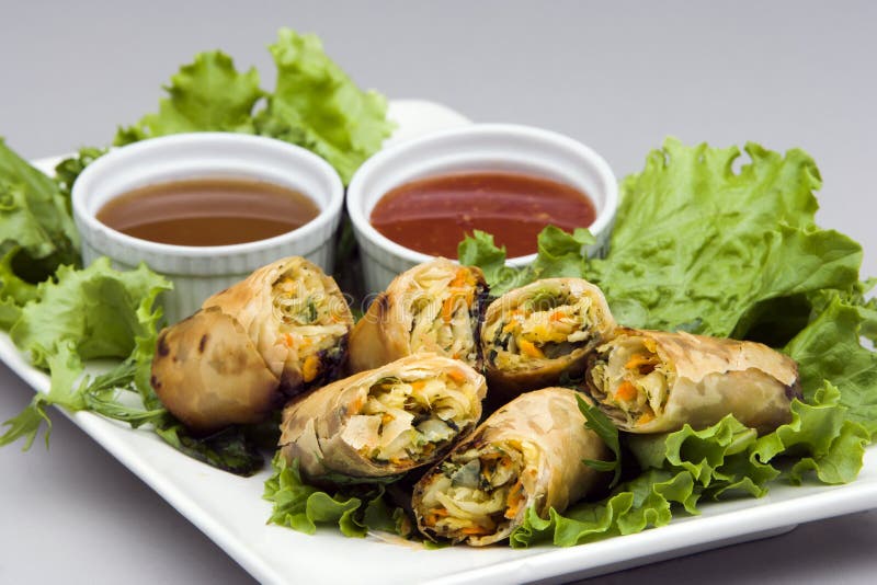 Spring Rolls appetizer stock photo. Image of vegetarian - 19250954