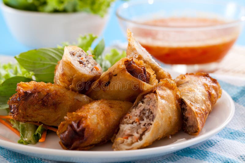 Spring rolls stock photo. Image of cooking, vietnamese - 102921786