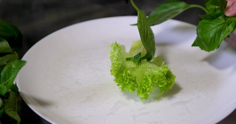 Spring Rolls Making Process Step by Step Spring Roll with Chicken or ...