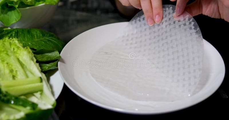 Spring Rolls Making Process Step by Step Spring Roll with Chicken or ...