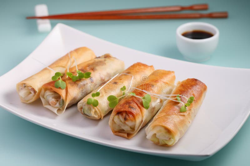 Spring Rolls on a Rectangular Plate Stock Photo - Image of sauce, brown ...