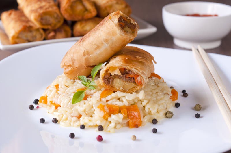 Spring rolls and rice stock image. Image of rolls, malaysian - 32643749