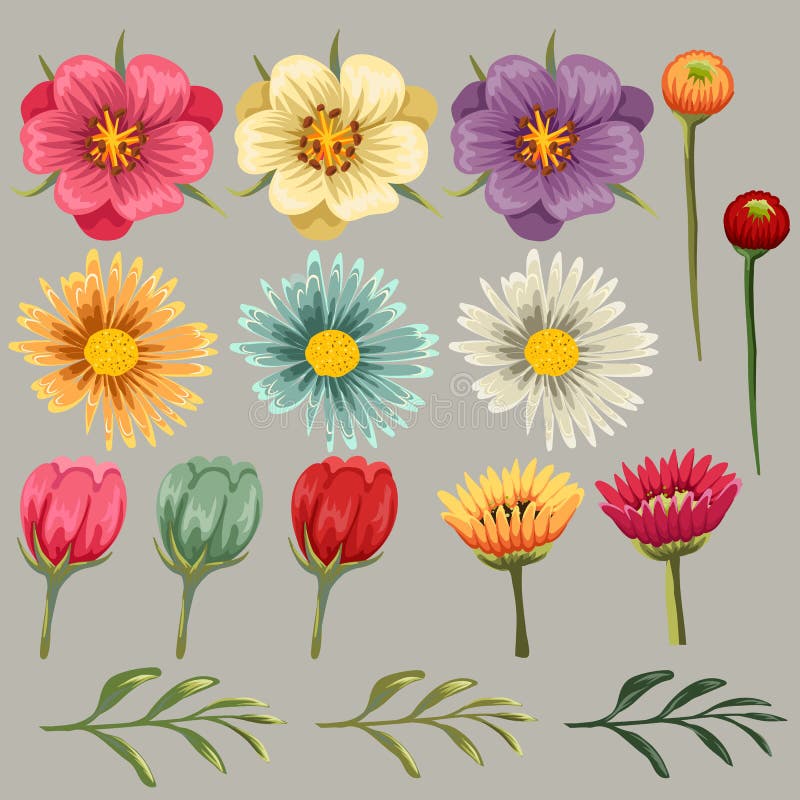 Spring Romantic Flowers Set. Chic and Retro Floral Isolated Set Stock ...