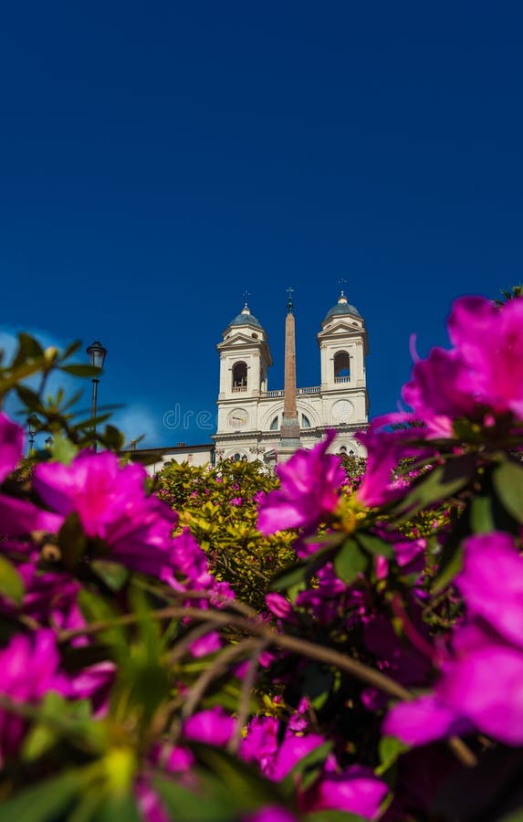 Spring in Rome stock photo. Image of purple, italian - 176534430