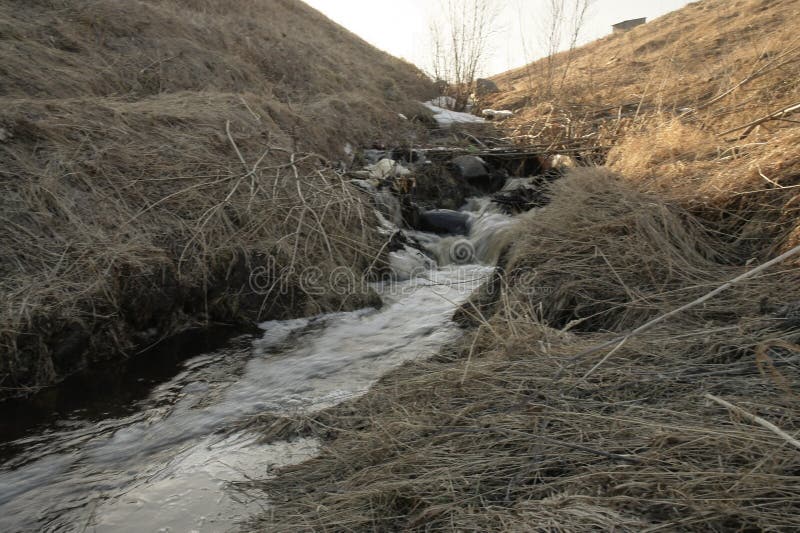Running Stream on a Hillside. Stock Image - Image of scenic, creek ...